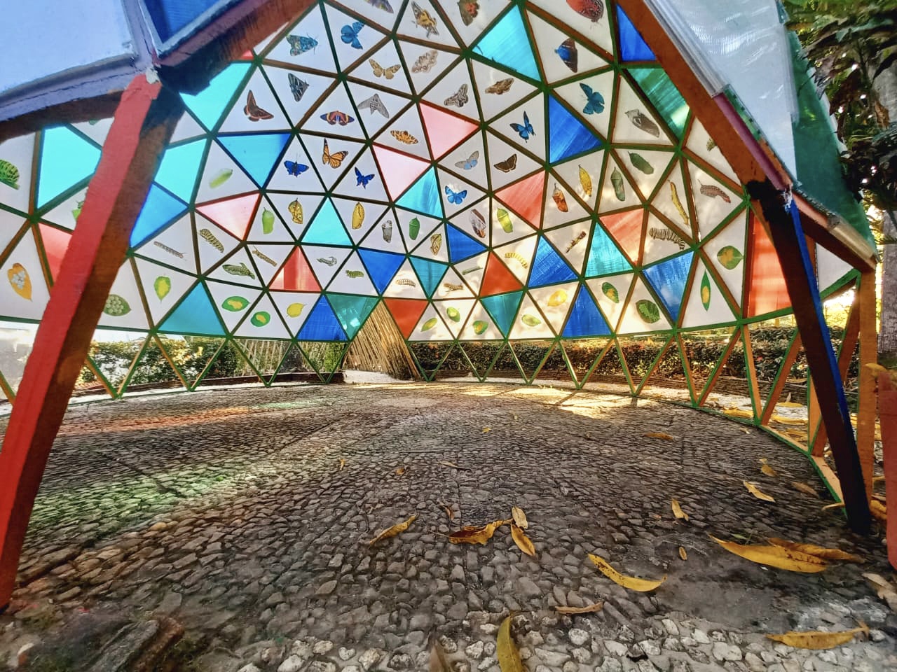 Parque Biotemático Megua cumple 20 años - TintaTIC